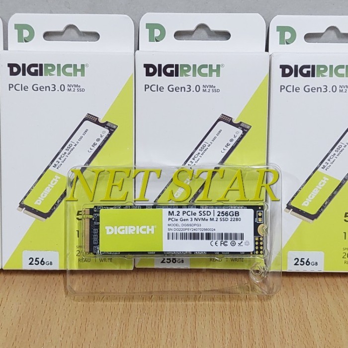 Jual SSD M2 NVME / M.2 NVME / M2 NVME 256GB DIGI RICH PCIe Gen 3 (8Gb/s ...