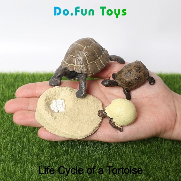 Jual Tortoise Animal Figure/ Miniatur Mainan Kura-Kura - Life Cycle HOT ...