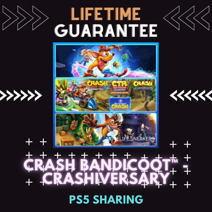 Jual Crash Bandicoot Crashiversary, for PlayStation 5, PS5 Digital ...
