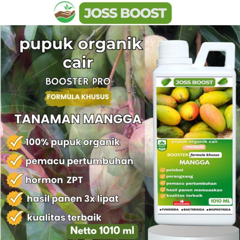 Jual Pupuk Organik Cair Booster MANGGA, POC JOSSBOOST Mangga, poc kompos organik Melebatkan ...