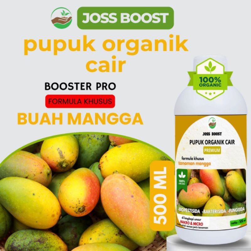 Jual pupuk Booster Buah Mangga 500ML / Pupuk Pelebat Tanaman Mangga Pemacu Tumbuh Bunga dan Buah ...