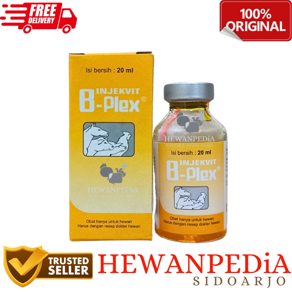 Jual INJEKVIT B PLEX B KOMPLEKS 20 ml MEDION Hewanpedia - Tingkatkan ...