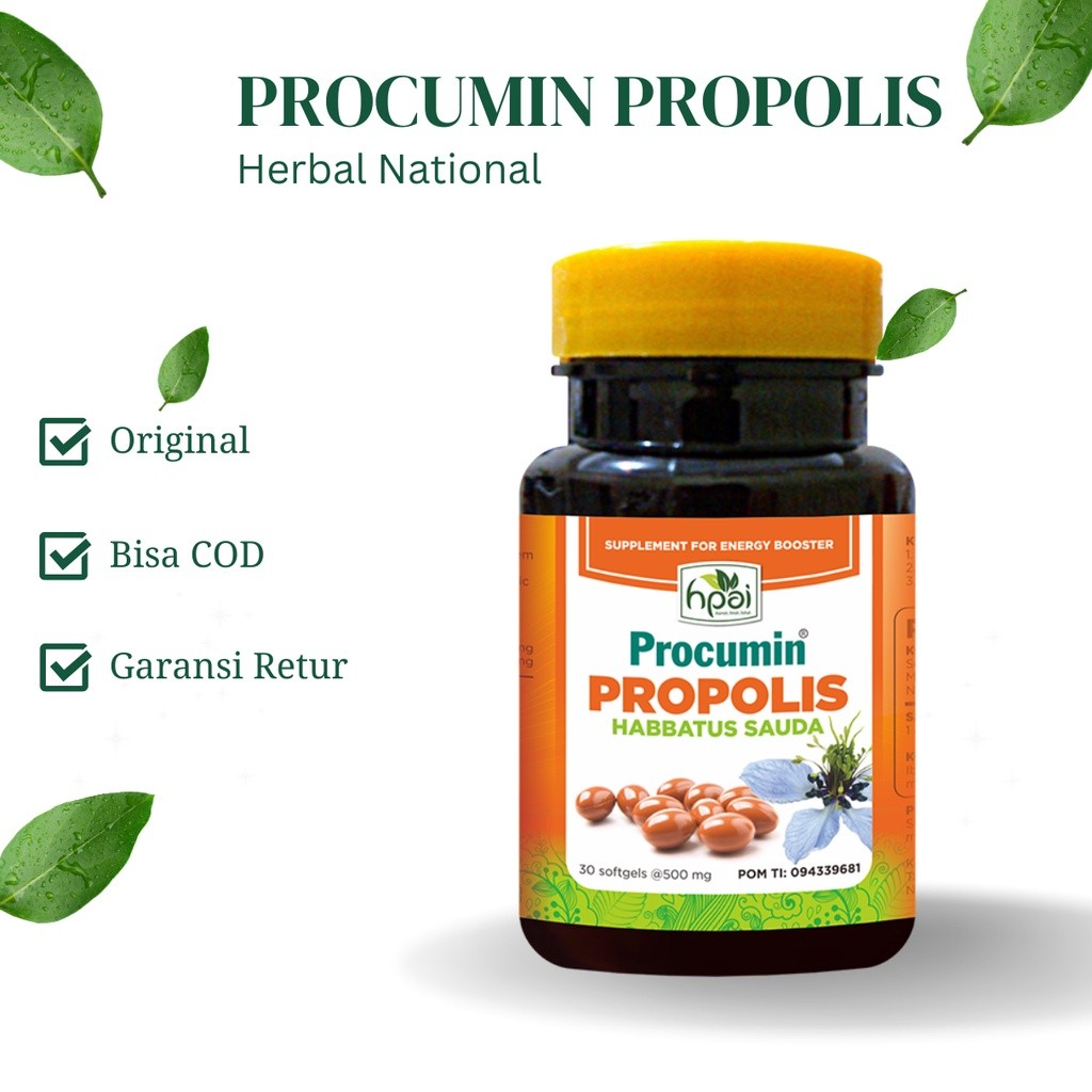 Jual Procumin Propolis Habbatussauda Asli - HNI BPOM | Shopee Indonesia