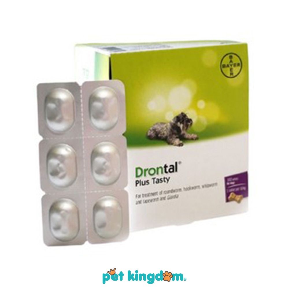 Jual Pet Kingdom Elanco Obat Cacing Anjing Drontal Plus Tasty Pembersih ...