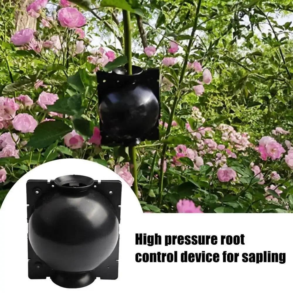 Jual 5pcs(5/8/12cm) Plant Rooting Ball Grafting Rooting Growing Box ...