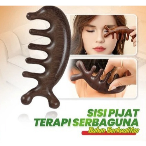 Jual SISIR RAMBUT KAYU SERBAGUNA BISA TERAPI PIJAT KULIT KEPALA LEHER PIJIT HIDUNG MATA | Shopee ...