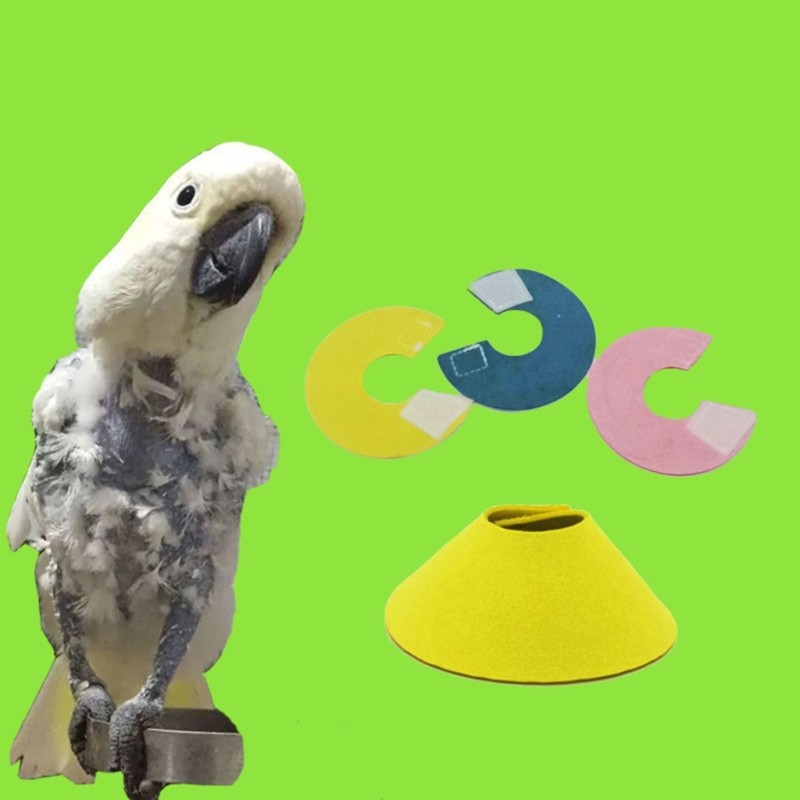 Jual Pet Bird Collar for Plucking Parrot Anti-Bite Recovery Collar ...