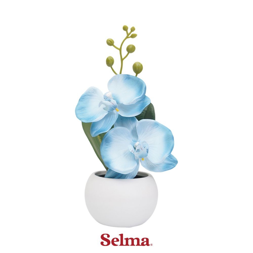 Jual Selma Bunga Artificial Mini Orchid Dengan Pot - Biru Tumbuhan ...