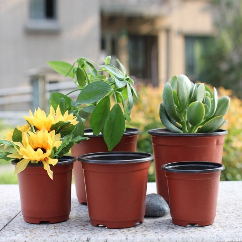 Jual 50/20pcs Flexible Plant Nursery Pots Plastic Grow Flowerpot Seed ...
