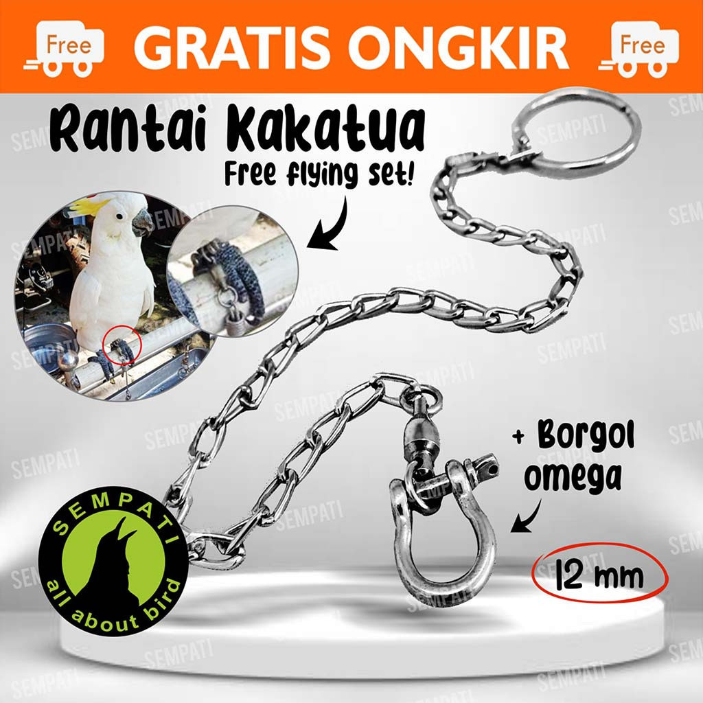 Jual SEMPATI RING OMEGA 12 MM RANTAI KAKI BURUNG KAKATUA BAYAN AFRICAN ...