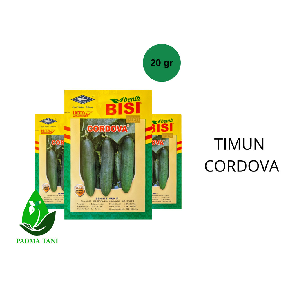 Jual Benih Timun CORDOVA F1 20gram - Mentimun Hibrida Tahan Virus (EXP ...