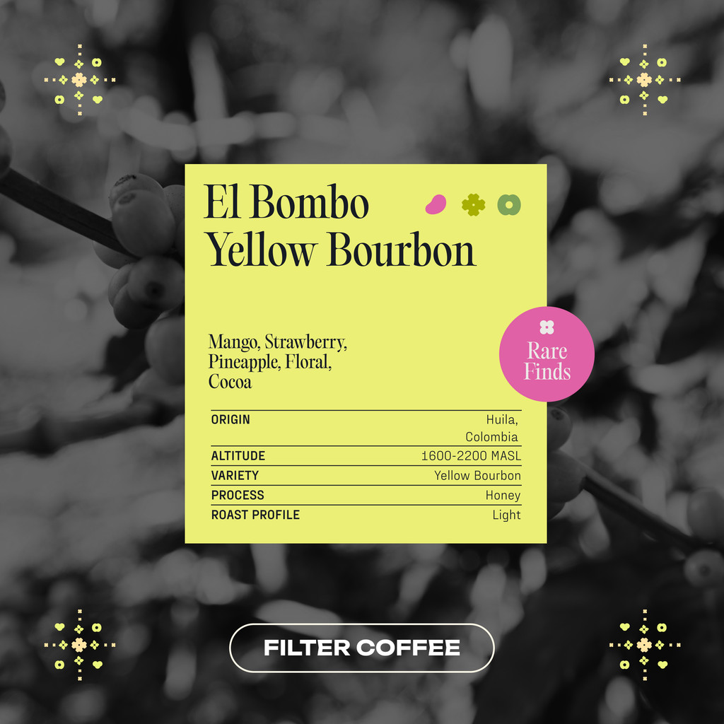 Jual KORO ROASTERS Arabica Colombia Yellow Bourbon Filter Roast Single Origin Specialty Coffee ...