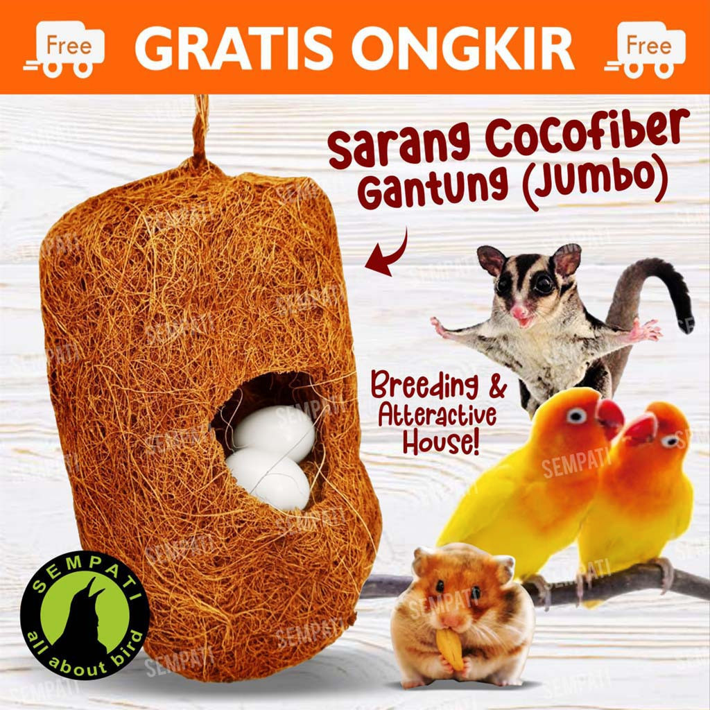 Jual SEMPATI SARANG BURUNG COCOFIBER GANTUNG BENTUK KAPSUL SARANG SERAT ...
