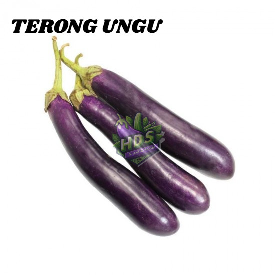 Jual Terong Ungu Segar 500gr - HDSFRESH | Shopee Indonesia