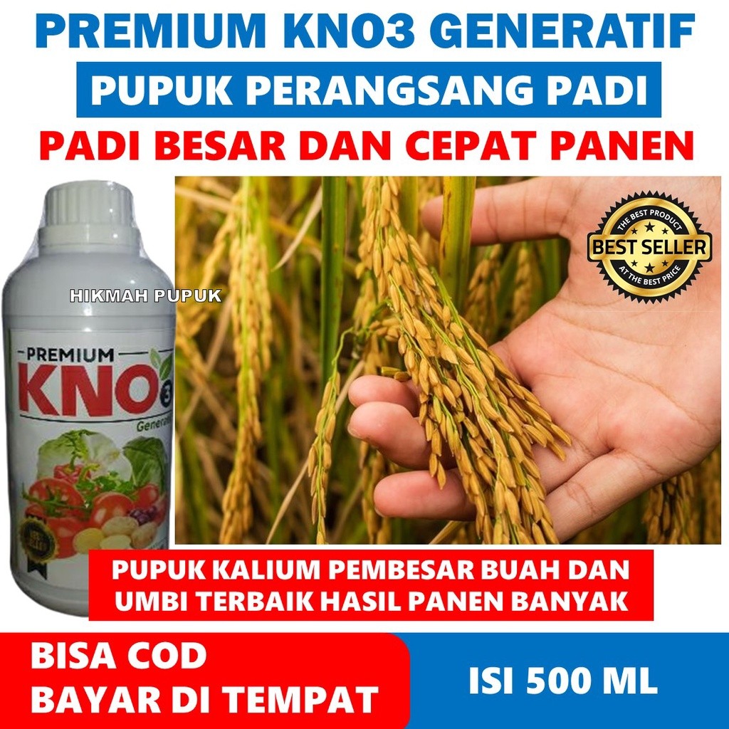 Jual Pupuk KNO 3 Premium Obat Penambah Bobot Padi Panen Lebih Banyak ...
