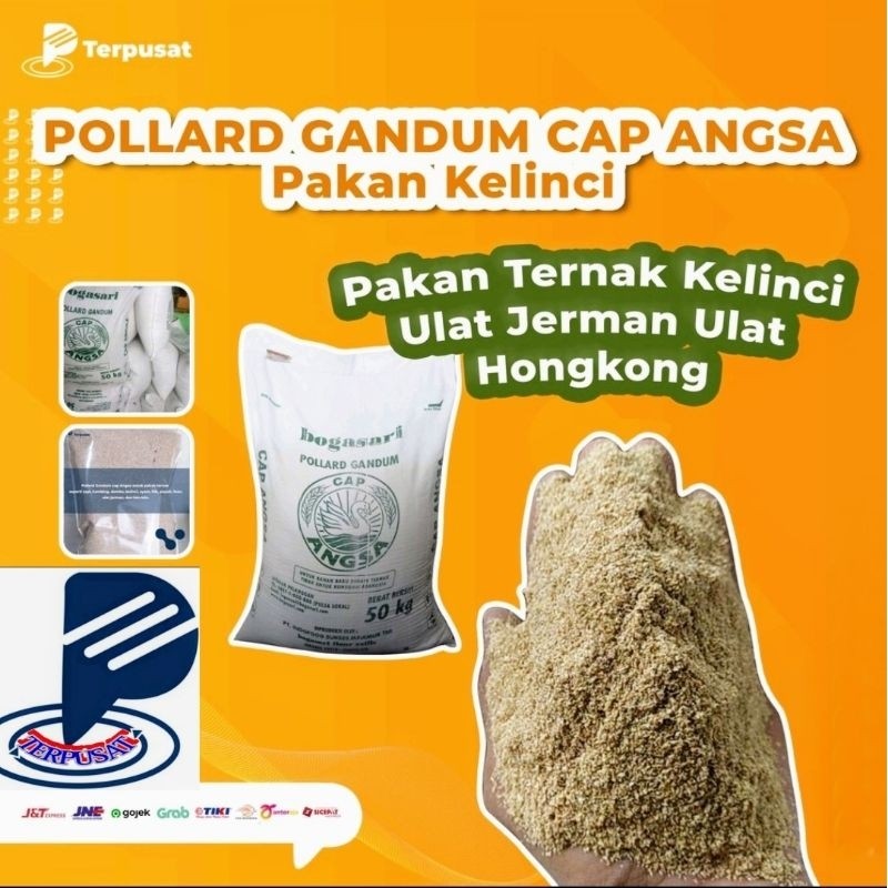 Jual Per 1 Kg Pollard Gandum Cap Angsa polar Makanan Ternak Media Ulat ...