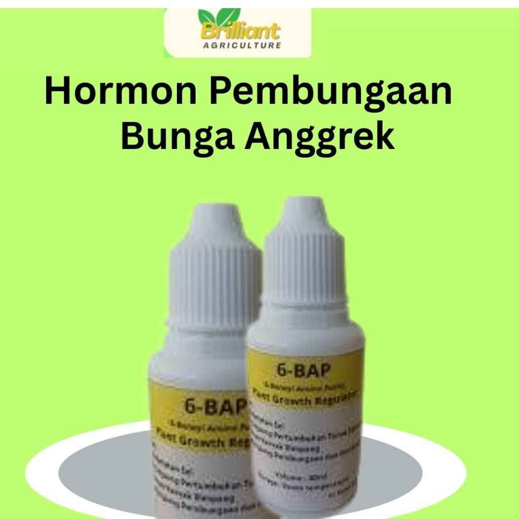Jual Hormon Pembungaan Anggrek 6-BAP | 6 ВАР Untuk Membungakan Dan ...
