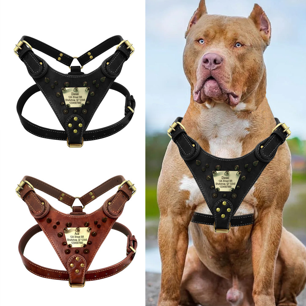 Jual Personalized Leather Dog Harness Sharp Spiked Studded Dog Harness ...