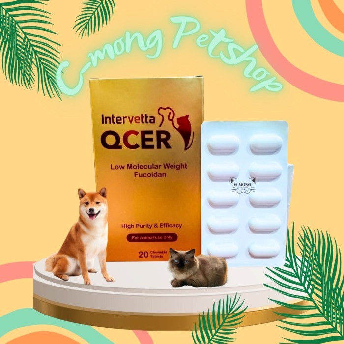 Jual QCER Intervetta Obat Kanker Tumor Cancer Cat Dog Kucing Anjing (1 ...