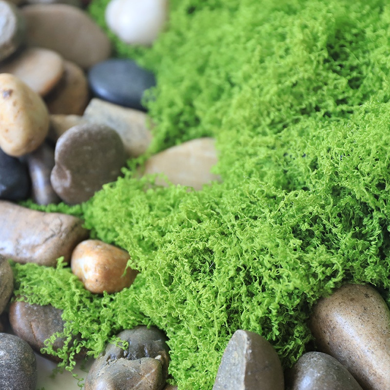 Jual LUMUT ABADI / MOSS DRIED / LUMUT AWETAN / DEKORASI MOSS / EKORASI ...