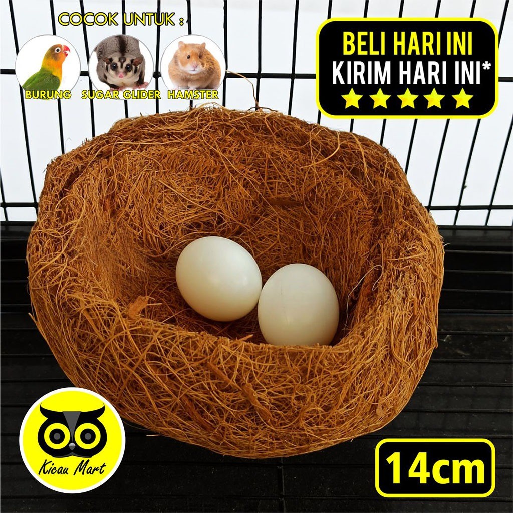 Jual KICAU MART SERAT KELAPA BULAT SARANG SERABUT KELAPA SUSUH BERTELUR ...