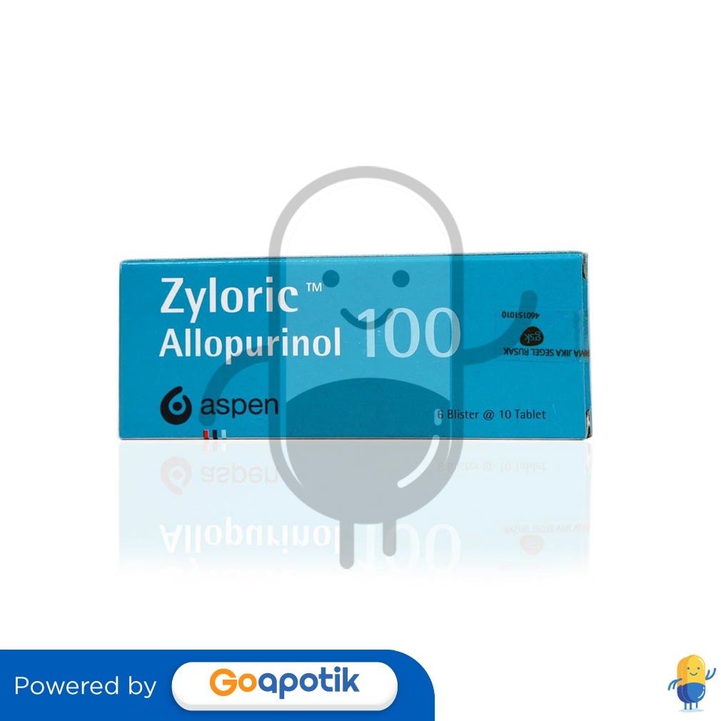 Jual Zyloric 100 Mg Box 60 Tablet | Shopee Indonesia