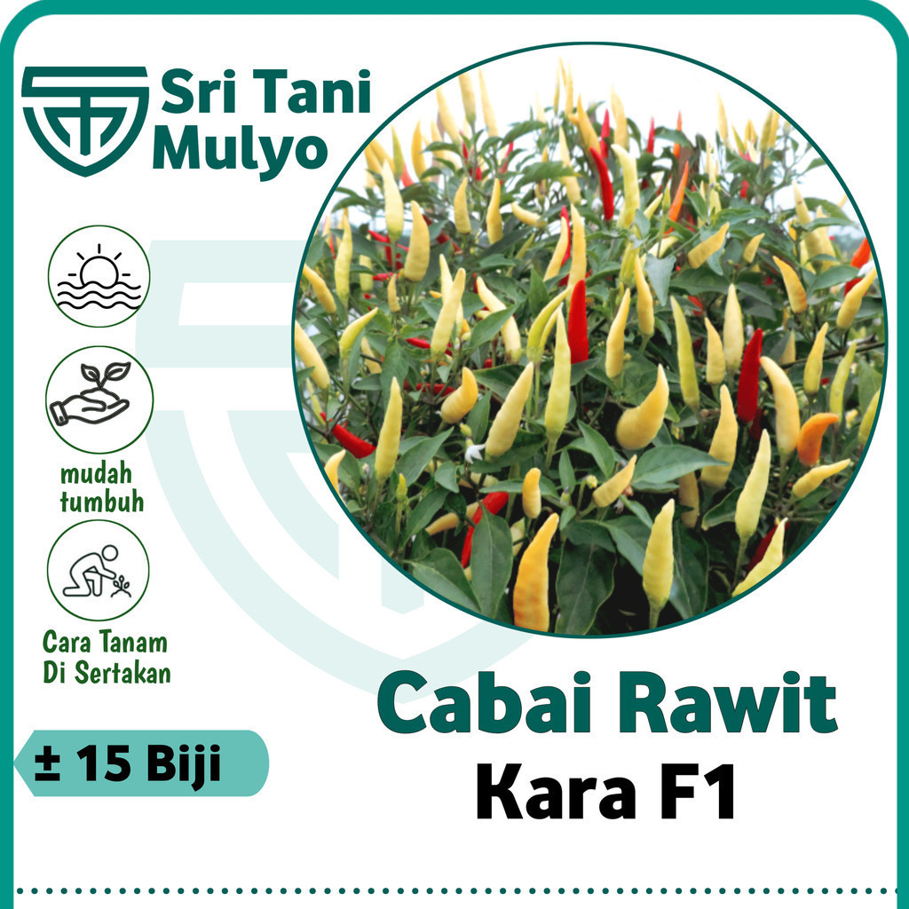 Jual 15 Biji - Benih Cabai Rawit Unggul KARA F1 - Cabai Rawit Merah ...