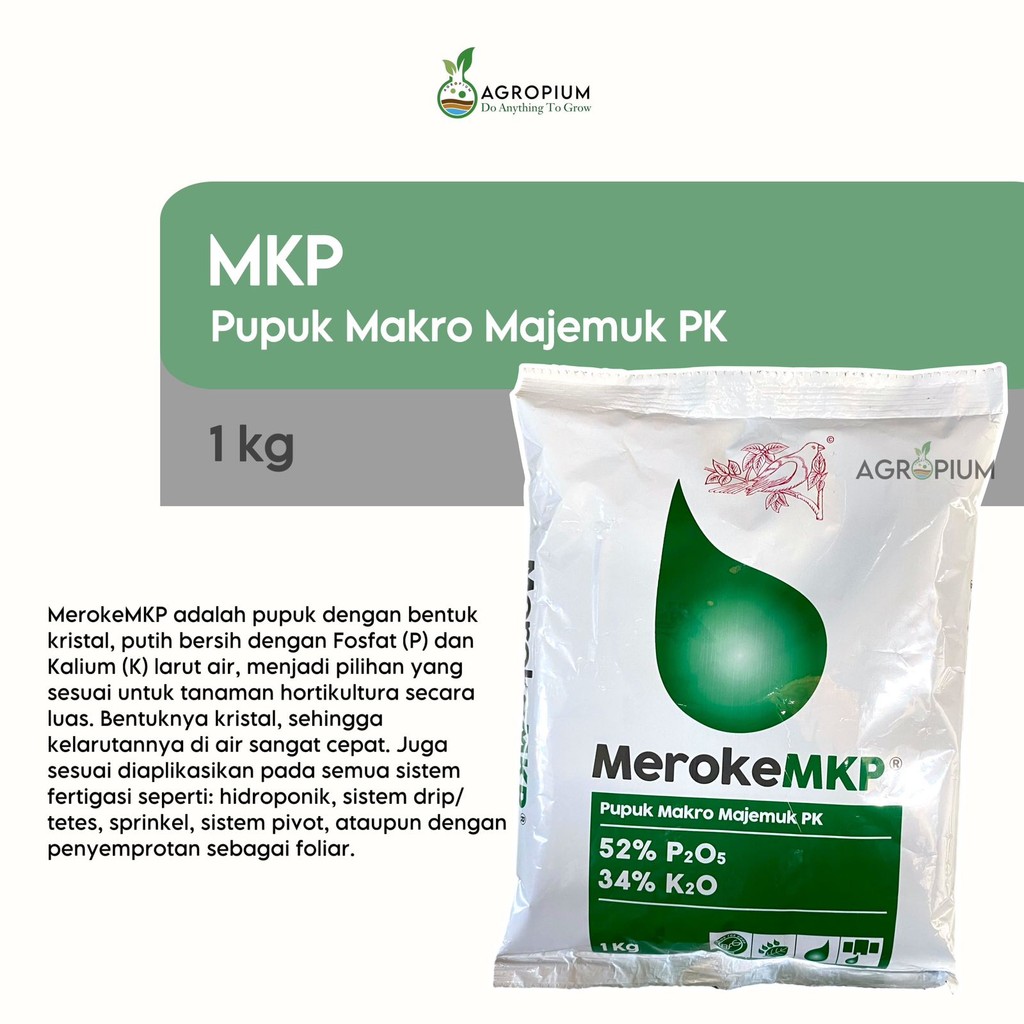 Jual Pupuk Meroke MKP 1 Kg Makro Majemuk PK Kemasan Pabrik | Shopee ...