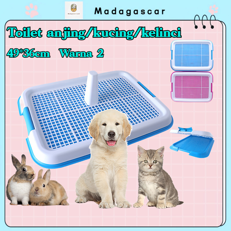 Jual [MADA] 36 x 49cm Pet Toilet Anjing / Pee Poop Training Pad Tray ...