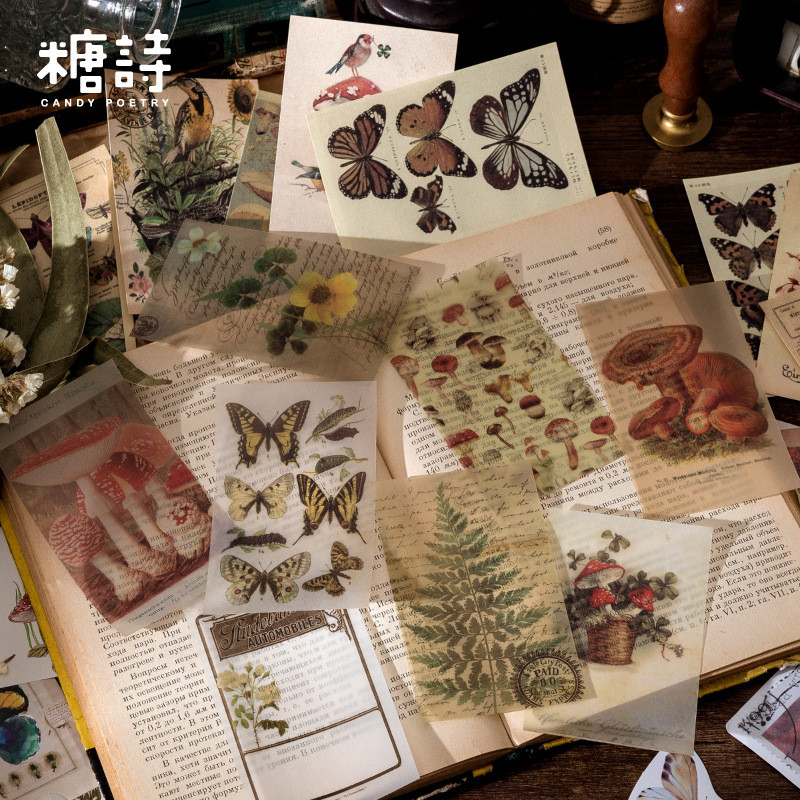 Jual Scrapbook Stickers Supplies Box Isi 60 Lembar Stiker Art Paper ...