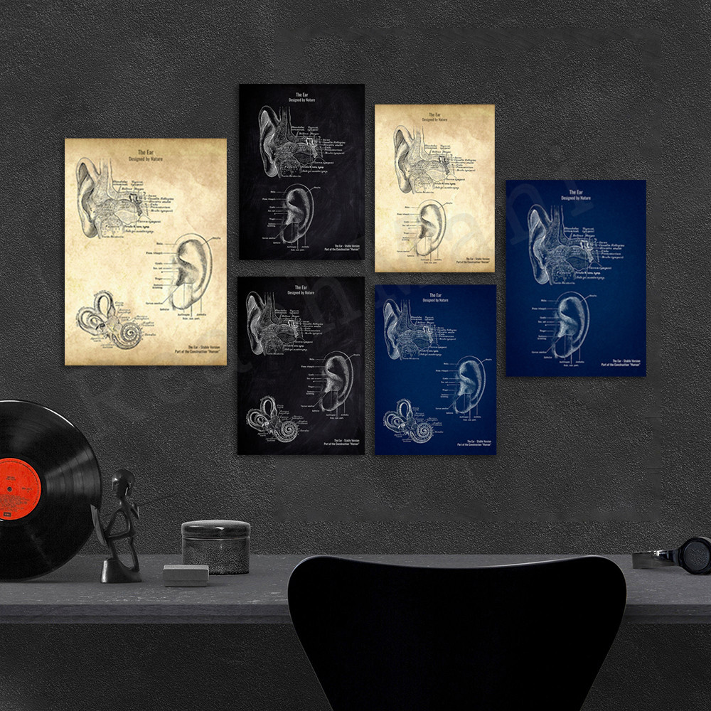 Jual Ear anatomy patent poster ear anatomy poster inner ear diagram ...