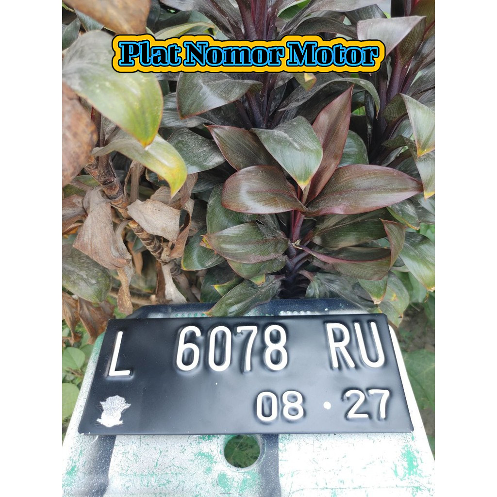 Jual untuk plat nomor mobil font lama & font baru harga SDH sepasang ...