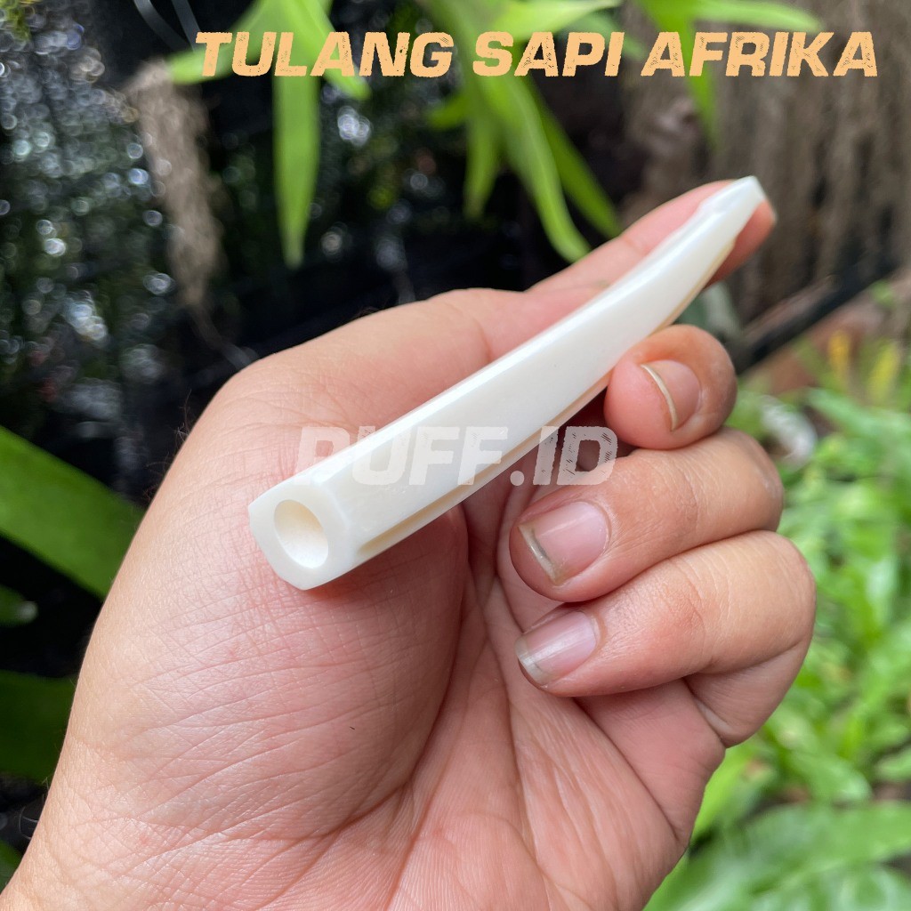 Jual Once Pipa Rk Cangklong Pipa Tulang Sapi Tebal Premium Import Warna ...