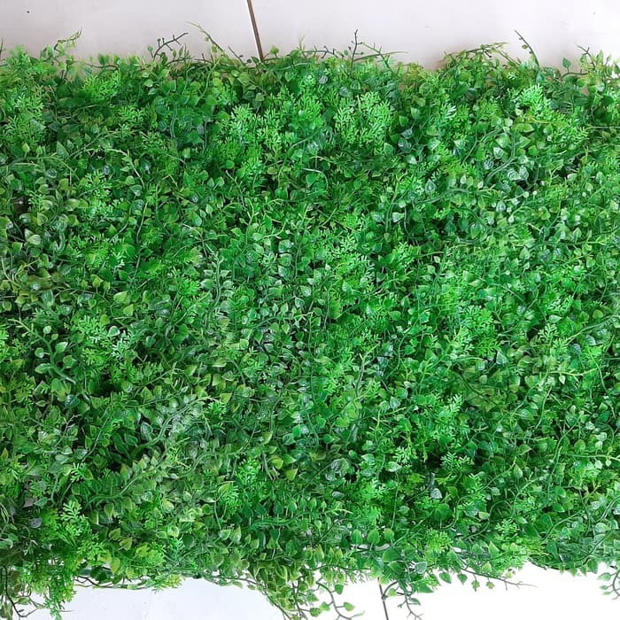 Jual Tanaman hias pakis rambat sintetis 40cm x 60cm / untuk dinding ...