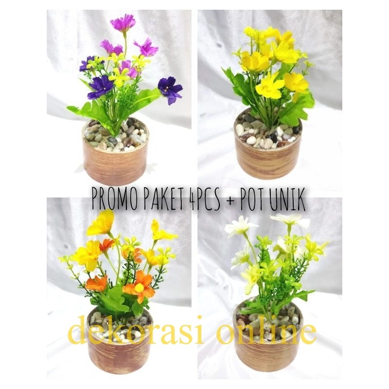 Jual PROMO 4 PAKET BUNGA HIAS ASTER DIASY + POT | Shopee Indonesia