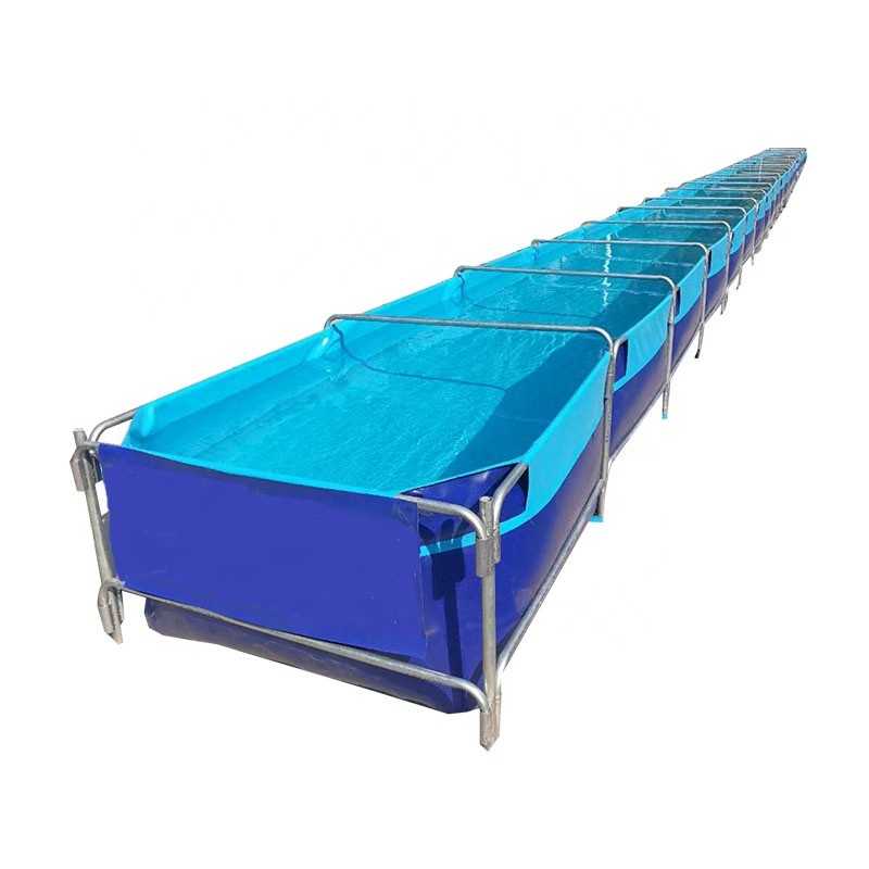 Jual Custom dimensions eco friendly plastic collapsible indoor tilapia ...