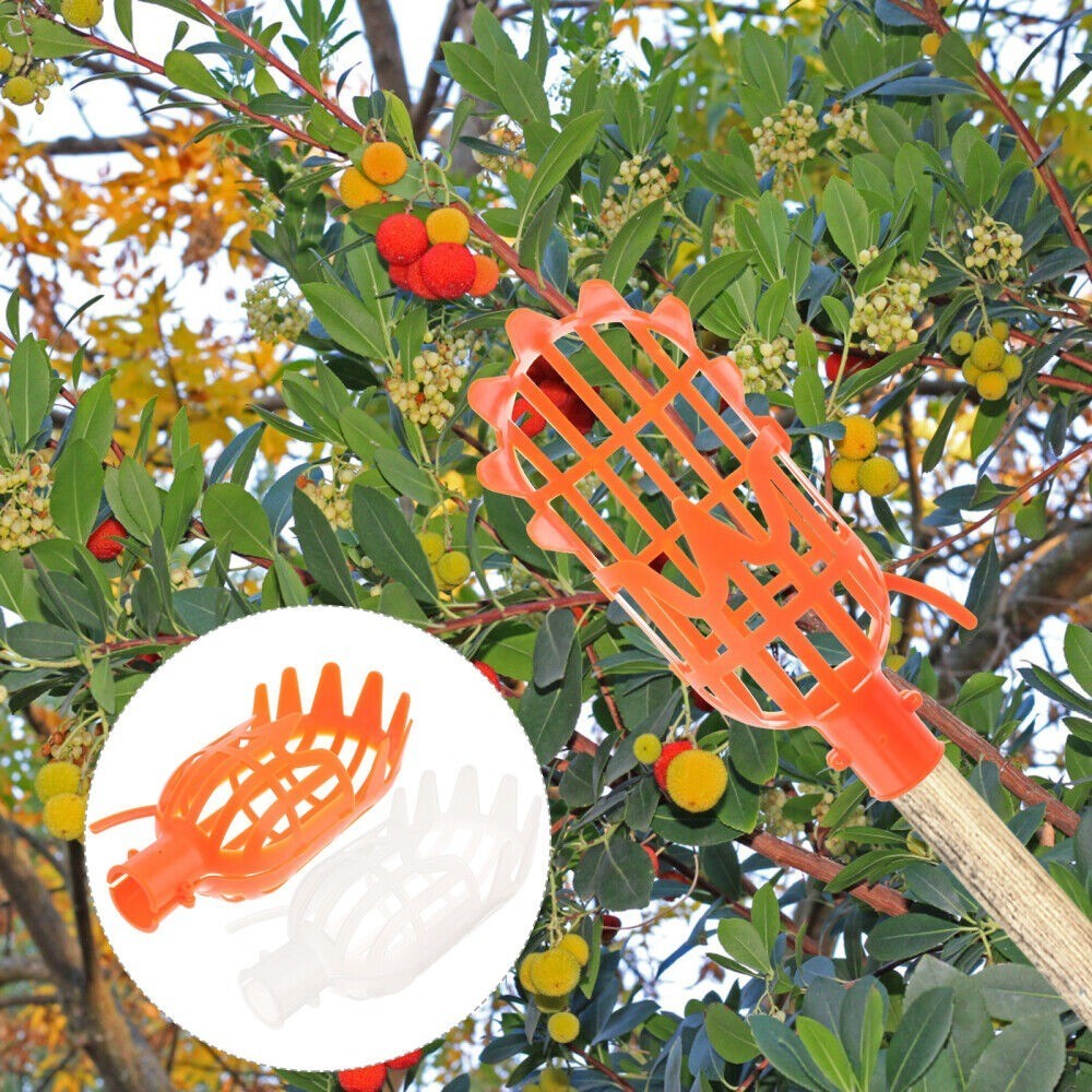 Jual Alat Petik Buah Plastik Sekop Keranjang Pengambil Pemetik Garden ...