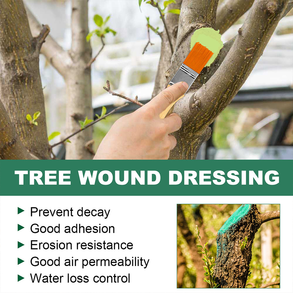 Jual 500g-100g Tree Wound Dressing Tree Bonsai Wound Pruning Sealer ...