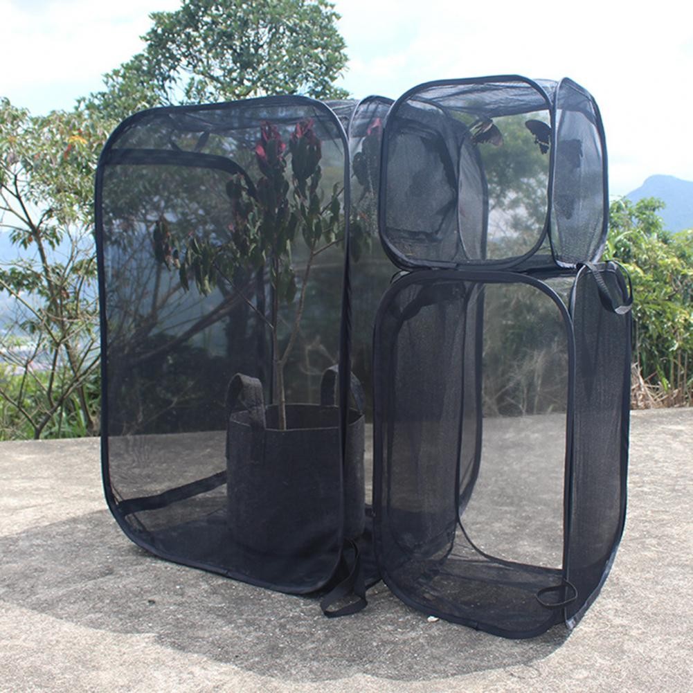 Jual Foldable Insect Cage Habitat Cage Mesh Butterfly Mantis Stick Breeding Net Terrarium ...