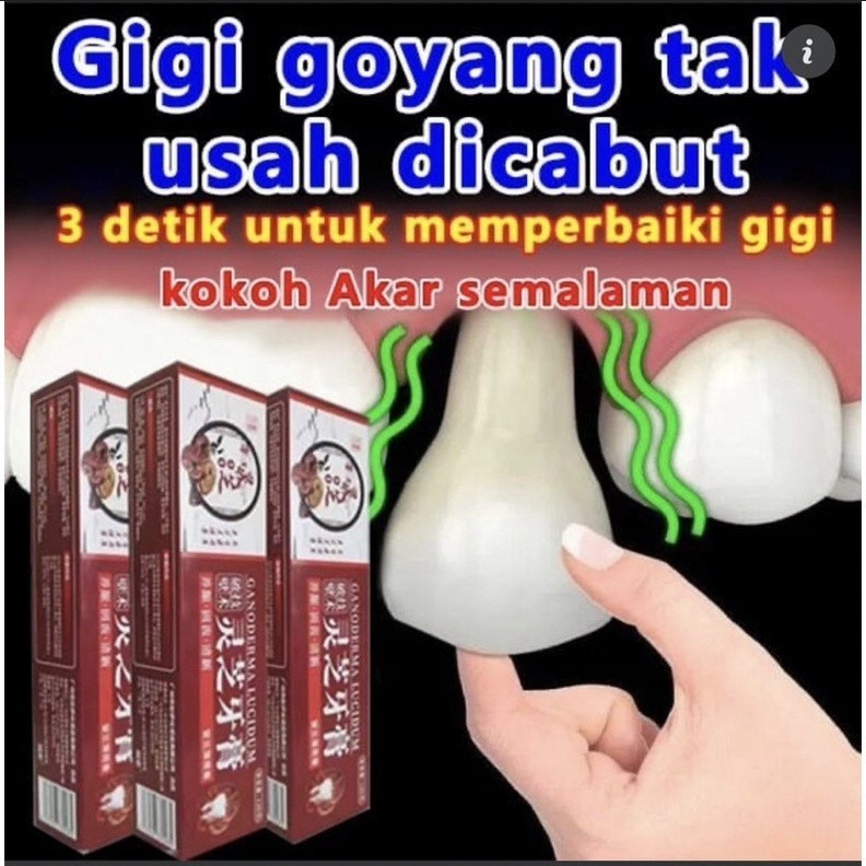 Jual Promo Ganoderma Lucidum Penumbuh Gigi Perbaikan gigi Berlubang ...