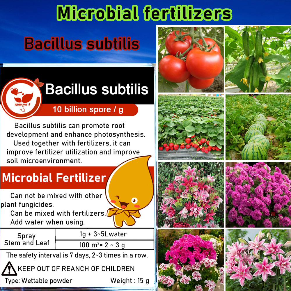 Jual 15g Microbial Fertilizers - Bacillus Subtilis Optimize The Soil ...