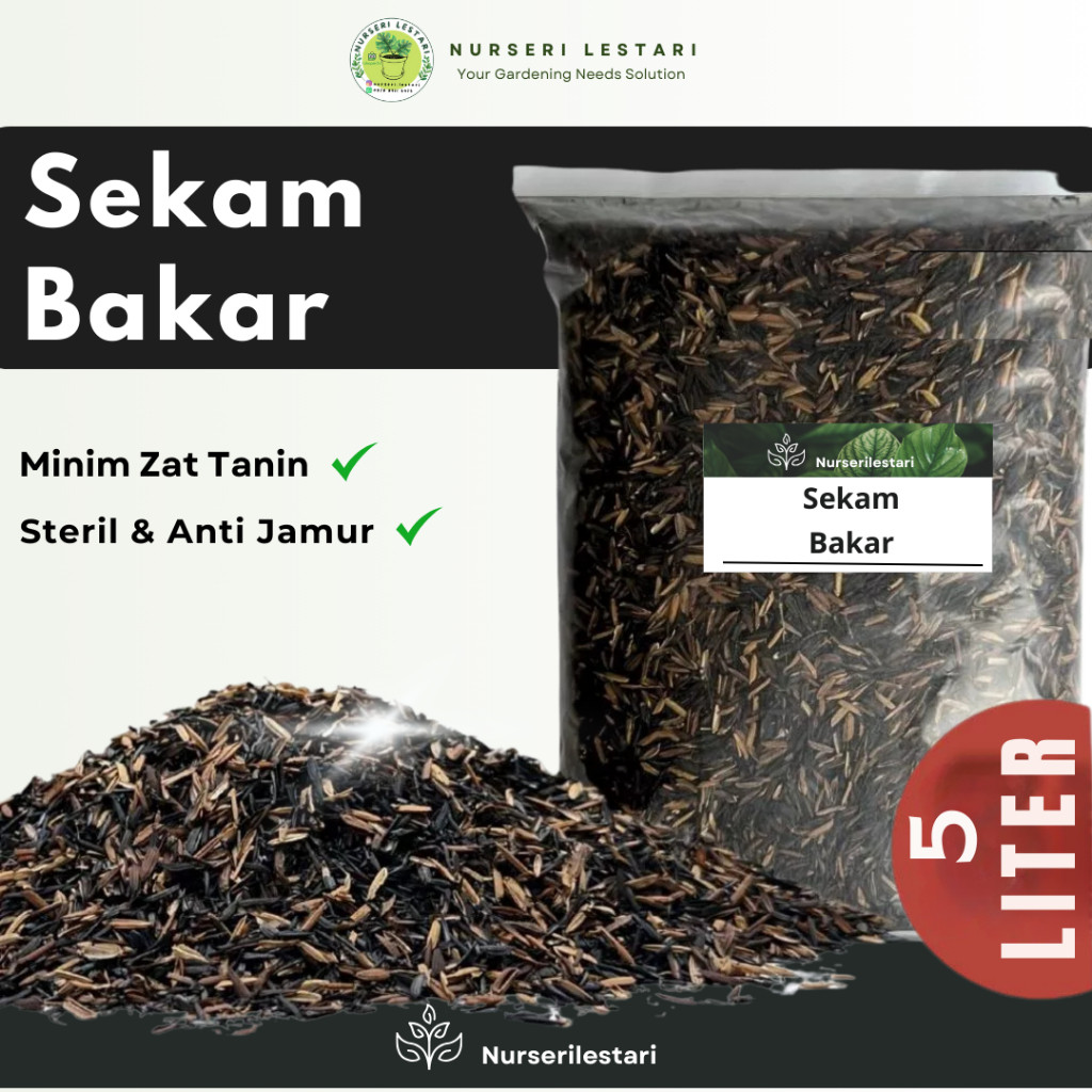 Jual Sekam Bakar 5 Liter / 1kg Untuk Campuran Media Tanam | Shopee Indonesia