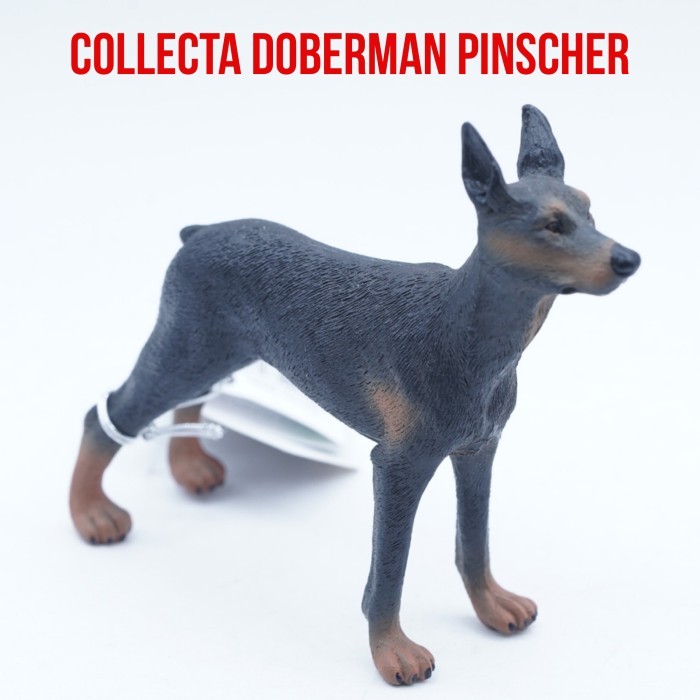 Jual Collecta 88086 Doberman Pinscher Dog Anjing Canis lupus familiaris ...