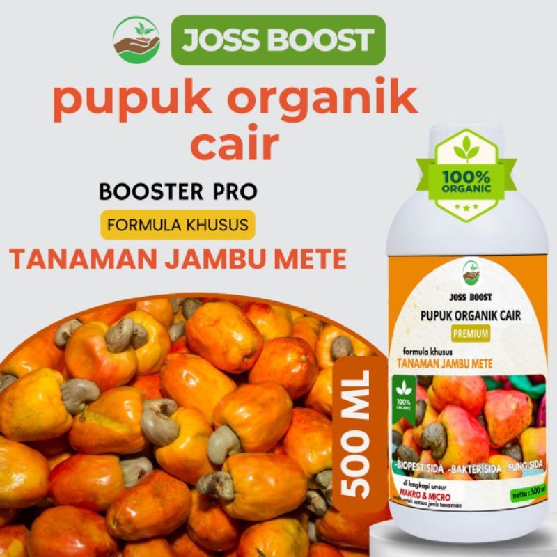 Jual pupuk Booster Buah Jambu Mete 500ML / Pupuk Pelebat Tanaman Jambu Mete Pemacu Tumbuh Bunga ...