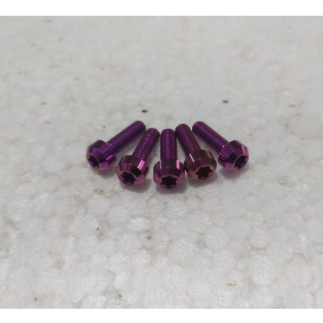 Jual Baut Titanium Gr 5 m4 x 12 Drat 6 Panjang 1.2cm | Shopee Indonesia