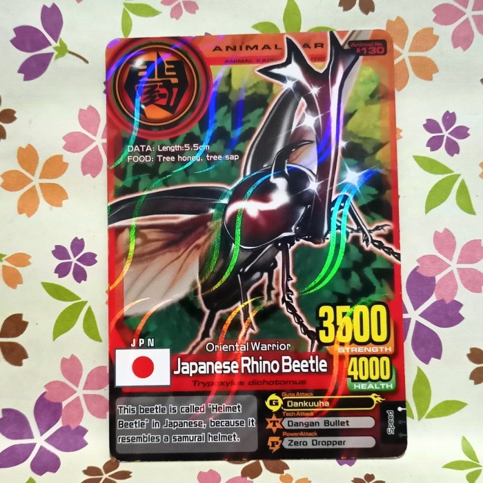 Jual animal kaiser normal japanese rhino beetle evo 3 | Shopee Indonesia