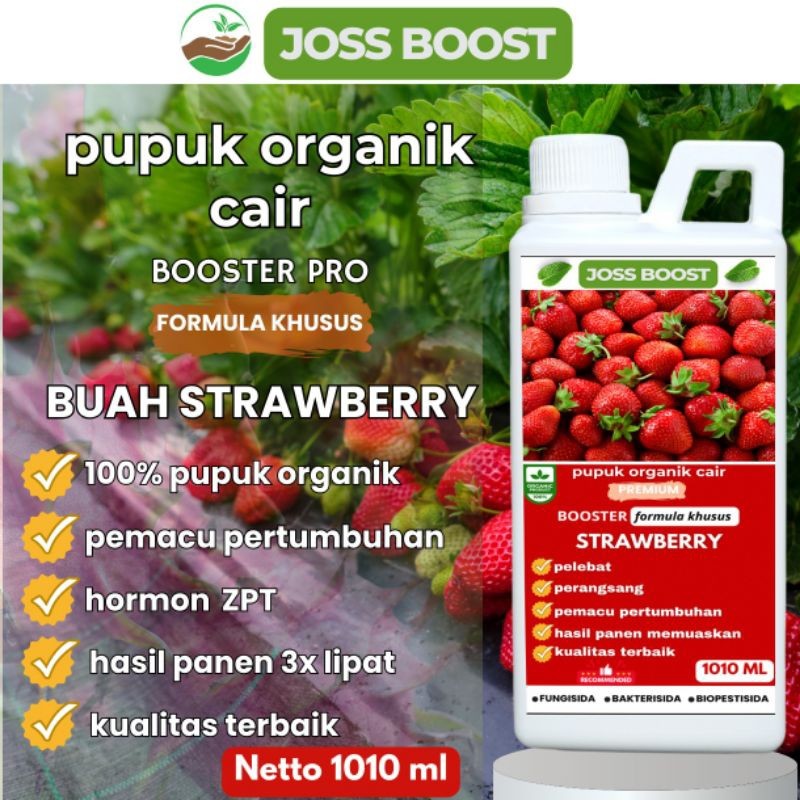 Jual Pupuk Organik Cair Booster STRAWBERRY, POC JOSSBOOST Strawberry, poc kompos organik ...