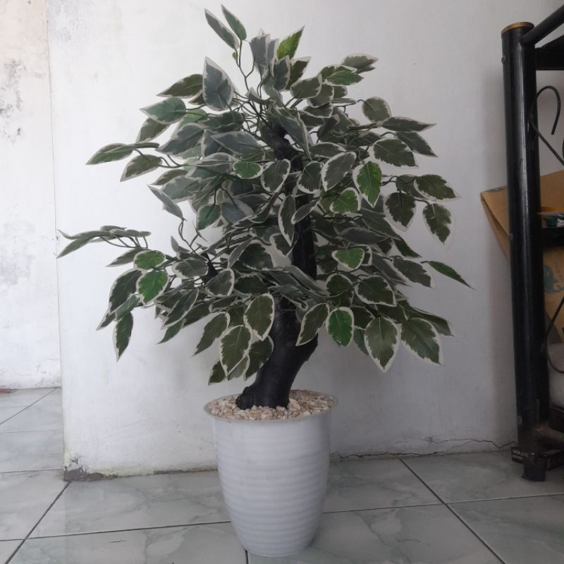 Jual Tanaman hias artificial Pohon hias palsu Beringin Varigata P20 ...