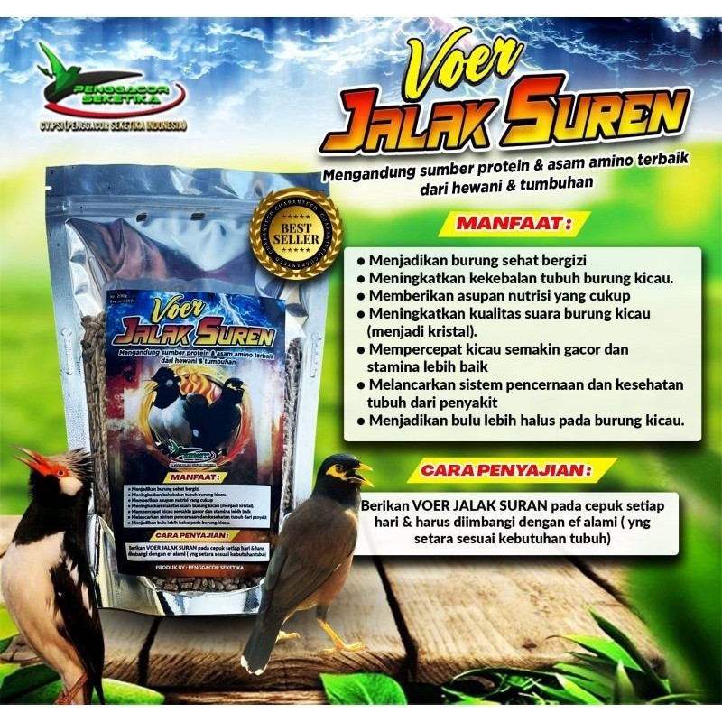 Jual VOER PAKAN JALAK SUREN 200G Makanan Penggacor Burung Pakan Burung ...