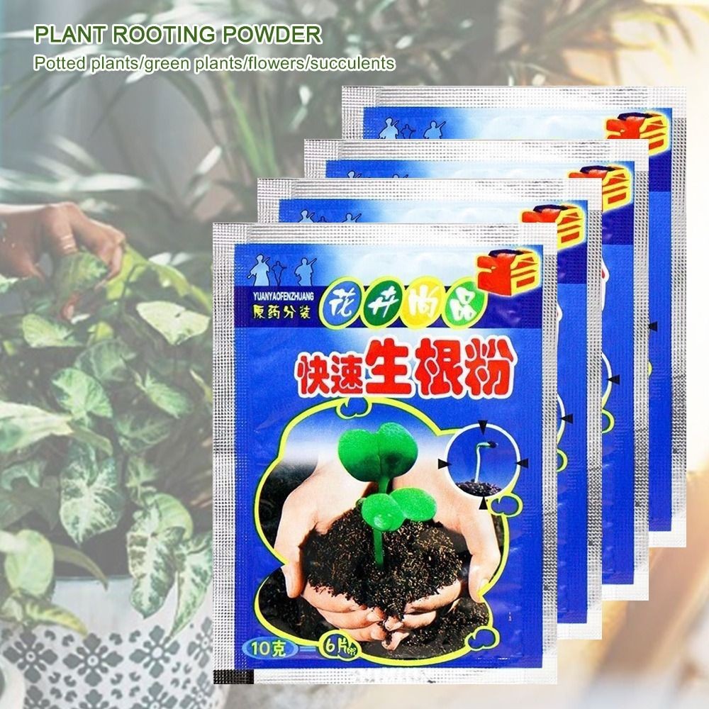 Jual New Seedling Plant Growth Powder Bonsai Tree Cutting Rooting ...